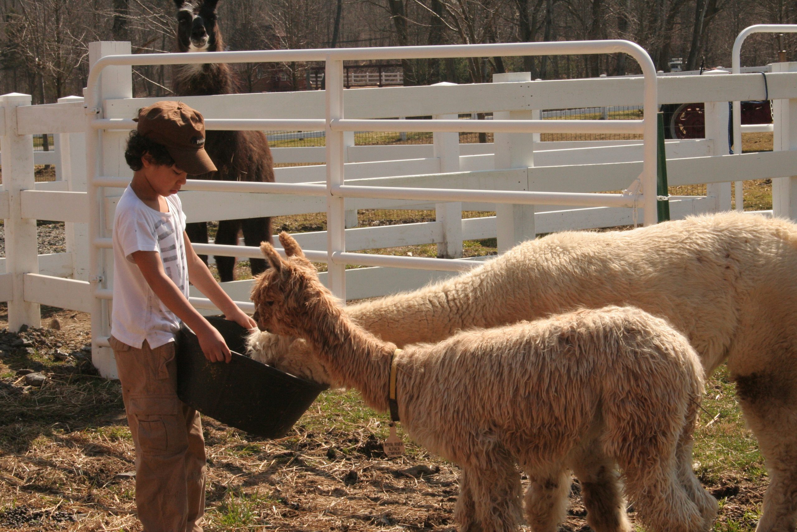 IMG_3575 – Playing Mantis NYC