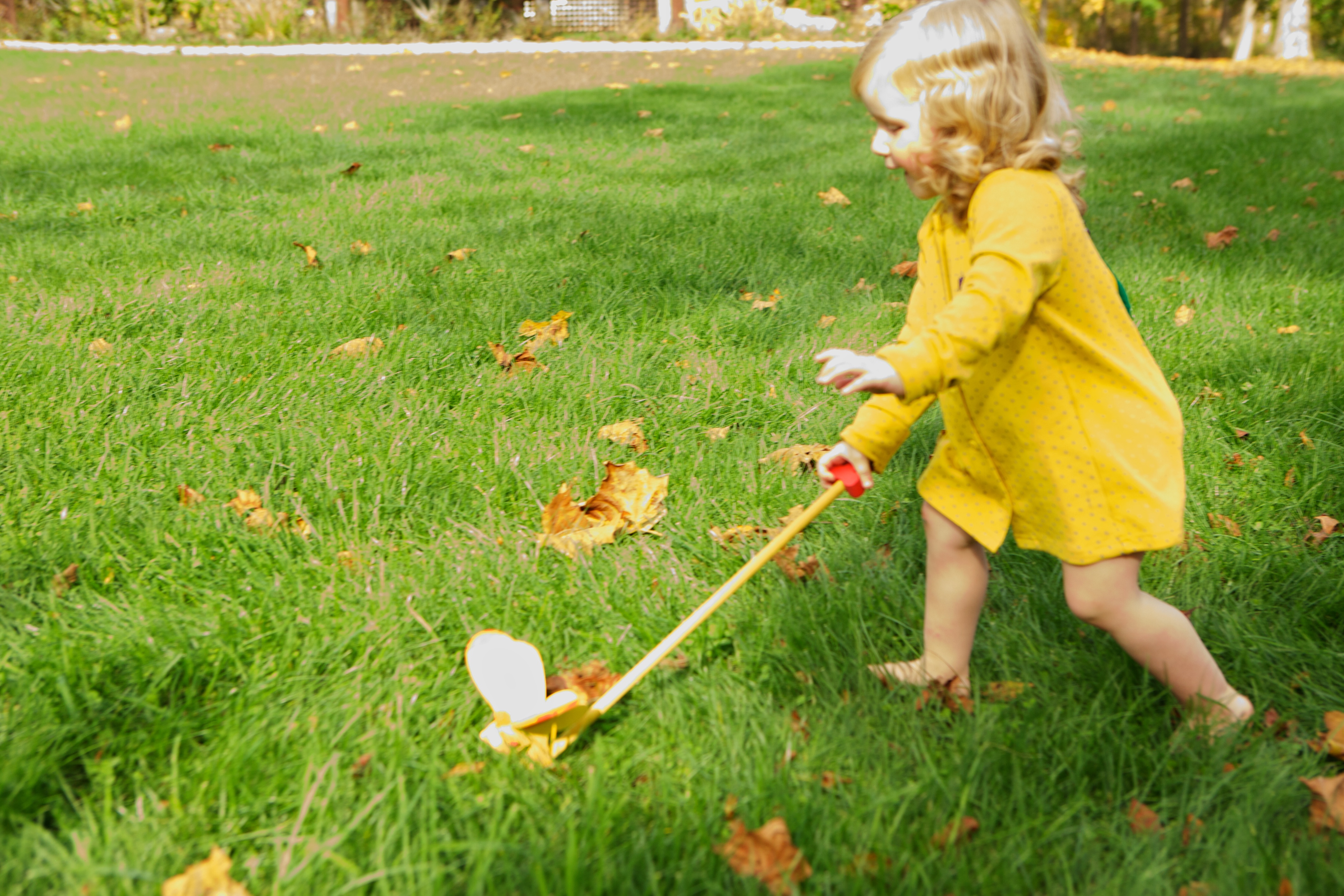 Shop By Category - Toy Store Playing Mantis