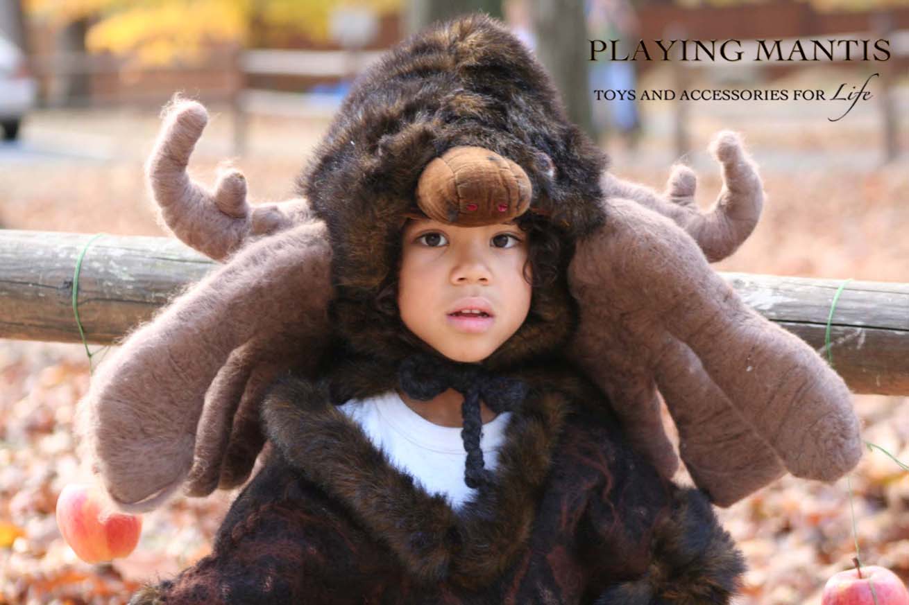 Autumn tales – Playing Mantis NYC