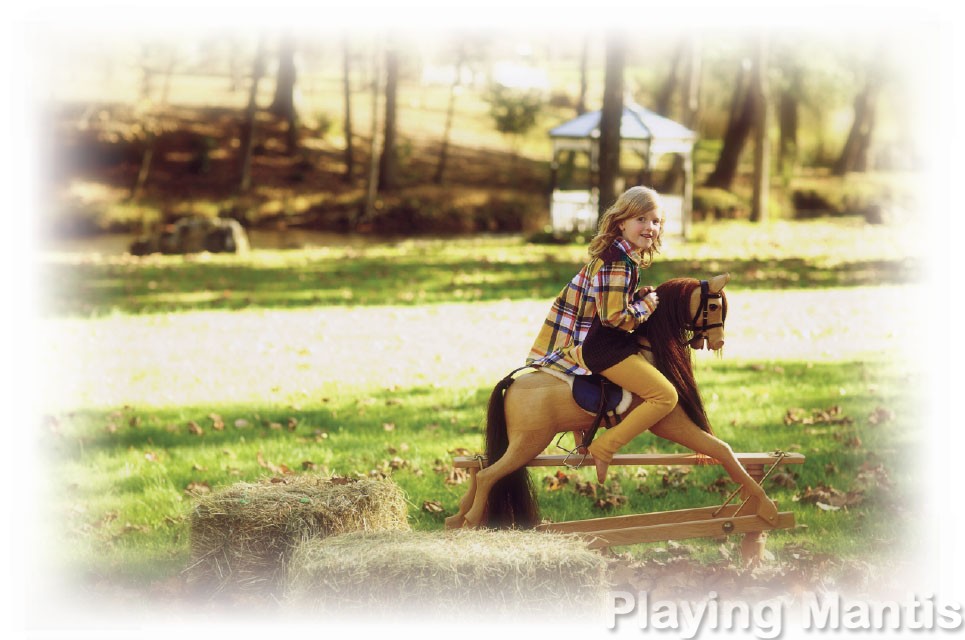 Autumn at Playing Mantis 2014 – Playing Mantis NYC