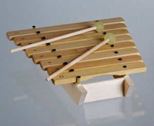 Musical Instruments – Playing Mantis NYC